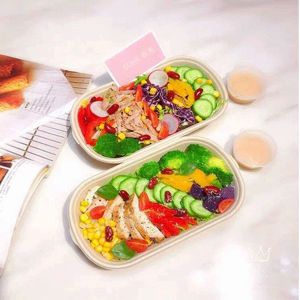 Quality 21g Fast Food 1000ml Sugarcane Bagasse Food Container for sale