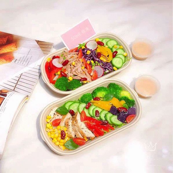 Quality 21g Fast Food 1000ml Sugarcane Bagasse Food Container for sale