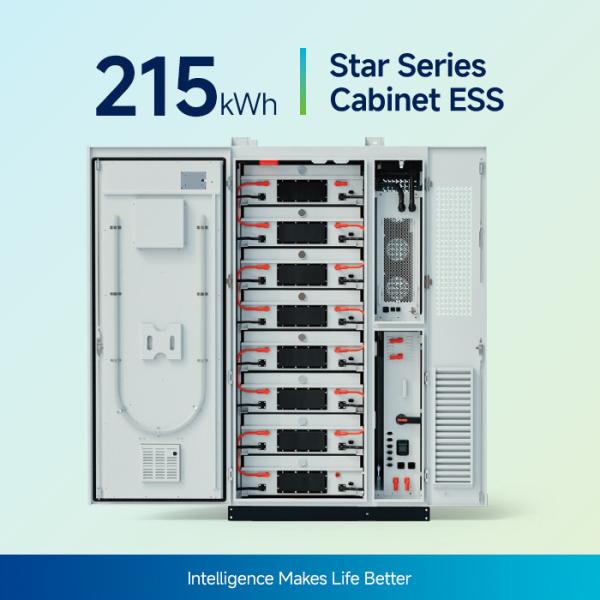 Quality 100kW/215kWh All-In-One BESS Battery System for sale