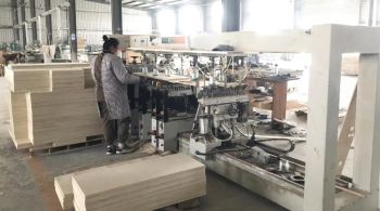 China Factory - Qingdao Vitalucks Trade Co., Ltd.