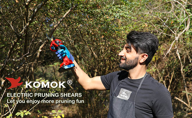electric pruning shears