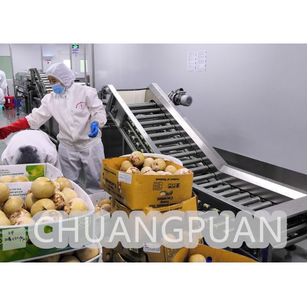Quality Coconut Processing Machine|Turn Key Customize 1-20T/h Coconut Water Production for sale