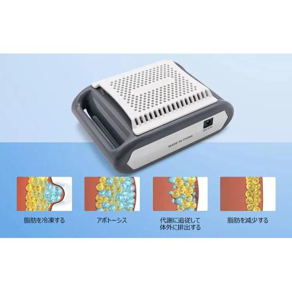 Quality cryolipolysis slimming machine for sale