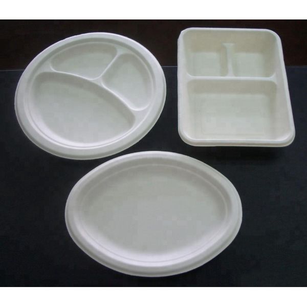 Quality Biodegradable Sugarcane Plate Making Machine 30kw For Food Packaging Box for sale