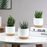 Quality Modern Self Watering Planter Pot for Home Decor for sale