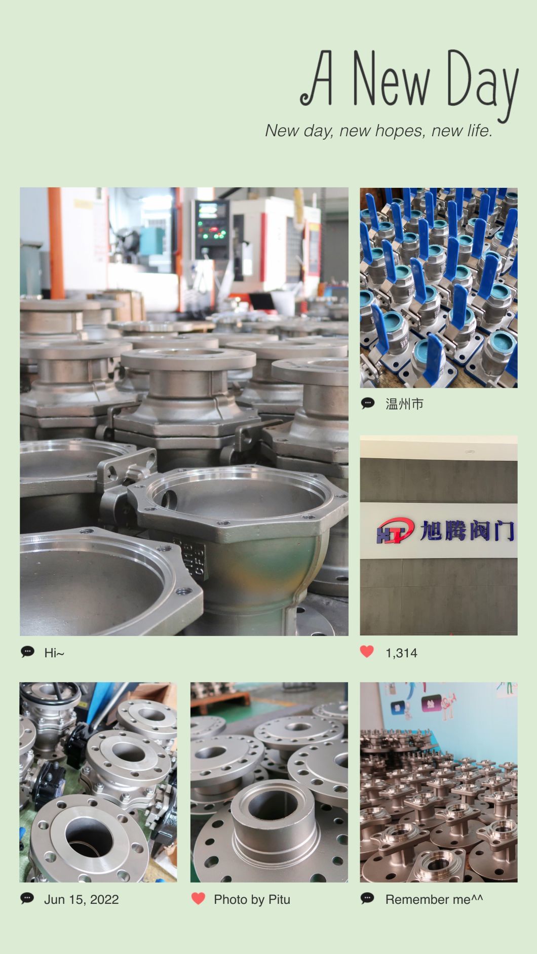 Stainless Steel Flange/Flanged Y Type Strainer/Filter 150lb Industrial Valve