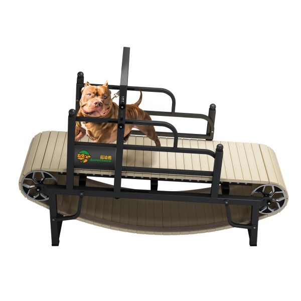Quality Indoor Dog Exercise Machine Perfect for Pit Bull Dogs Loading Quantities 20 GP for sale