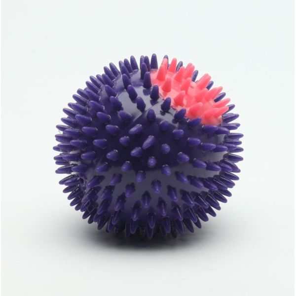 Quality Great Gift TPR Plastic Squeaky Dog Balls Eco - Friendly Customized Color for sale