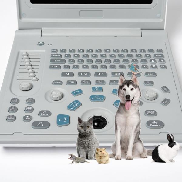 Quality Hospital Outside Diagnostic Linear Ultrasound Machine Dog Ultrasound Machine for sale