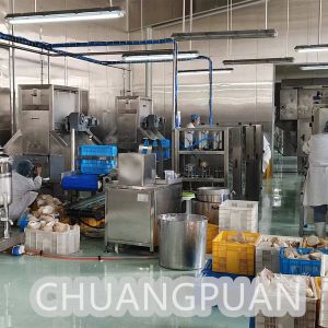 Quality Coconut Processing Machine for sale