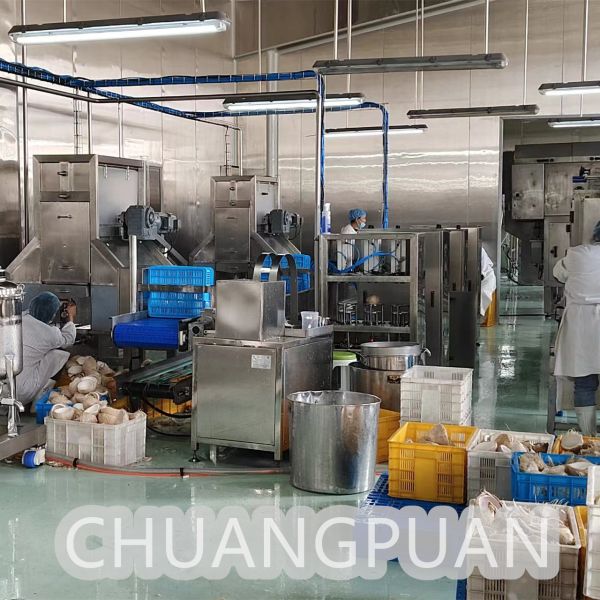 Quality Efficient Coconut Water And Milk Processing Machine Bottle Filling System 1 Year for sale