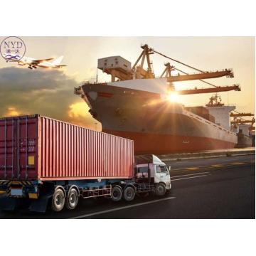 Quality Tracking DG Shipping Ocean Freight International Delivery Service for sale