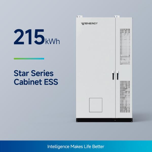Quality 100kW/215kWh All-In-One BESS Battery System for sale