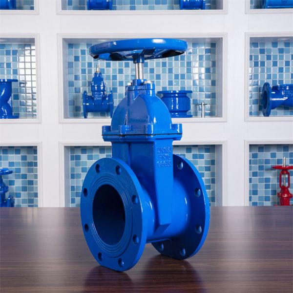 Quality Flange Ends Elastic Seat Gate Valve PN16 DN600 Cast Iron Gate Valve DN150 for sale