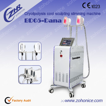 Quality Professional Cryolipolysis Slimming Machine Weight Loss Beauty Equipment for sale