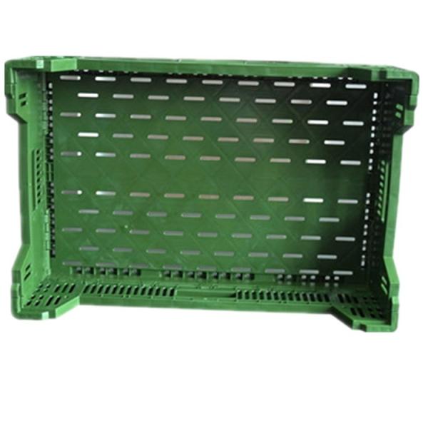 Quality Mesh Design Foldable PP Basket for Recyclable and 100% Recyclable Eco-Friendly for sale