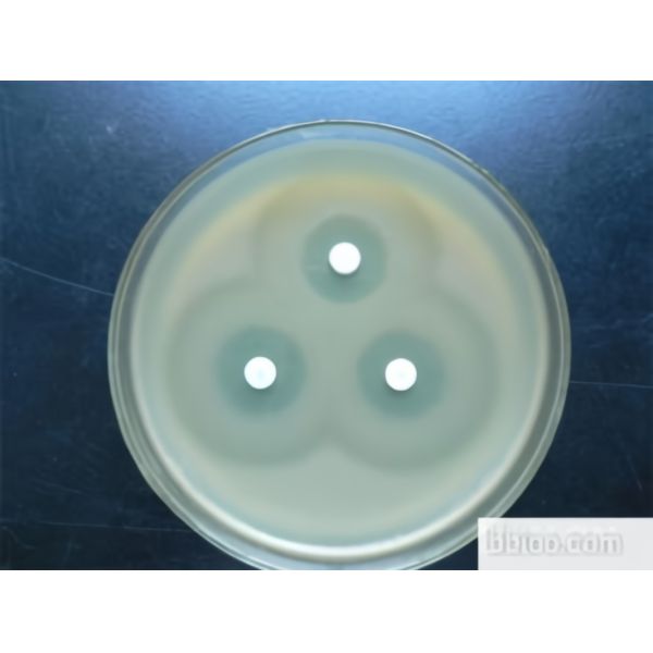 Quality Fine Granule Acidifier In Poultry Feed FAMI-QS HACCP Certified for sale