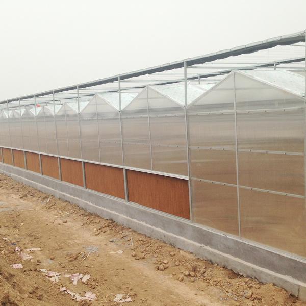 Quality Multi-Span Agricultural Greenhouses for Sustainable Fruits and Vegetables for sale
