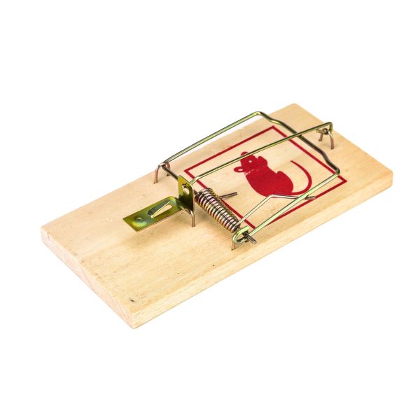 Quality Effective Reusable Wooden Mouse Traps for Home Garden Pest Control Time Used 480 Hours for sale