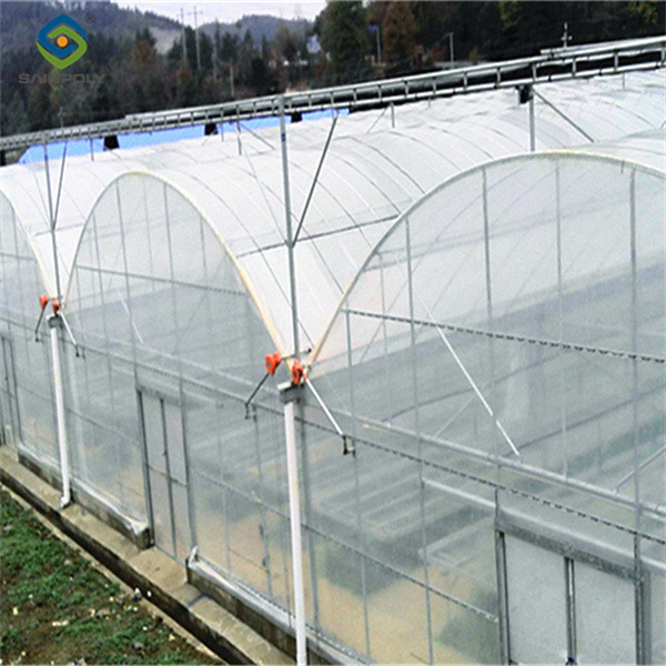Quality Commercial Size Greenhouse Multispan Greenhouse UV Protection for sale