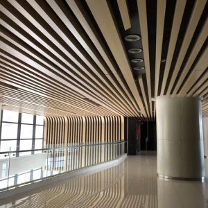 Quality Oak Finish Baffle Aluminum Perforated Metal Acoustic Ceiling Panels Wall Custom for sale