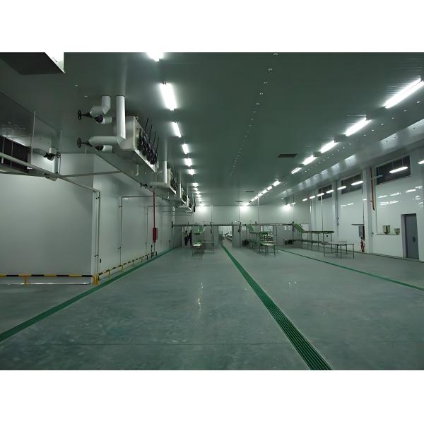 Quality Energy Saving Container Cold Room Custom Cooling Capacity With Hinged / Sliding Door for sale