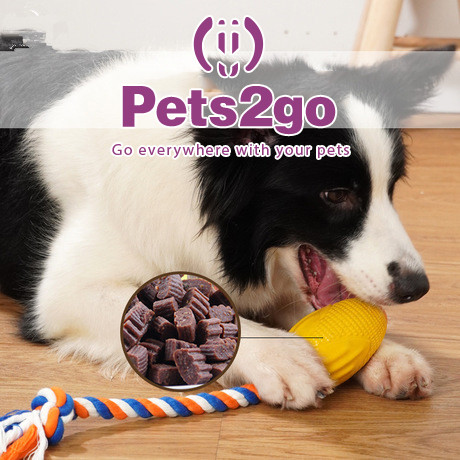 Quality Vocalize Tellow Plastic 127X78mm Dog Chew Toys for sale