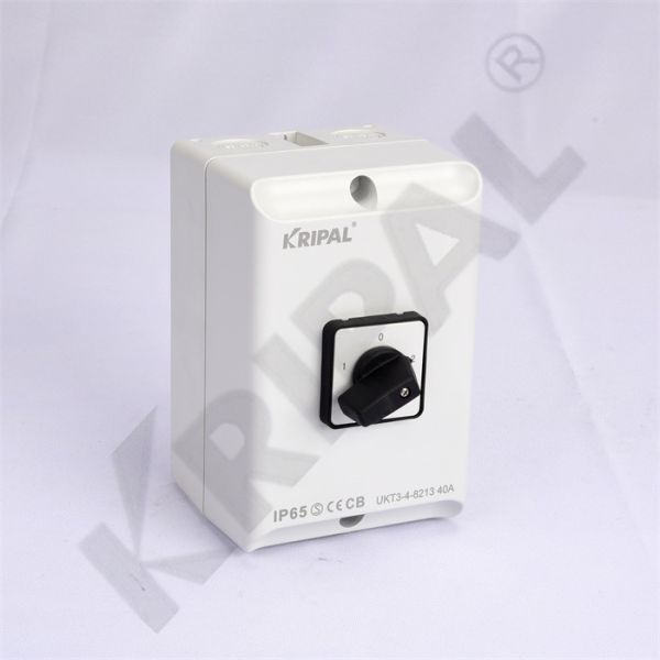 Quality 3P 4P 230V IP65 Universal Changeover Switch with protective box for sale