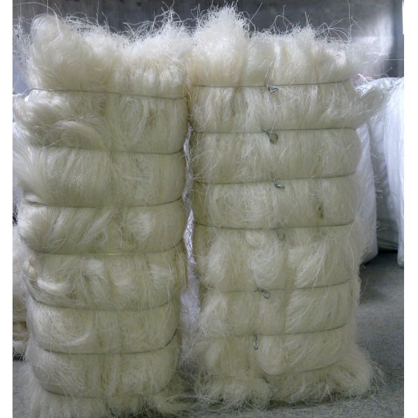 Quality 60kg Longkou Vermicelli Noodles for sale