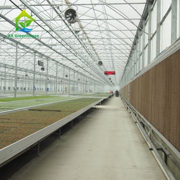 Quality Vertical Farming Clear Polycarbonate Greenhouse 3m To 7m Height for sale