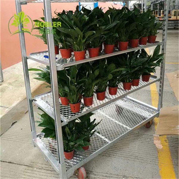 Quality Heavy Duty Dutch Trolley Shelves for sale