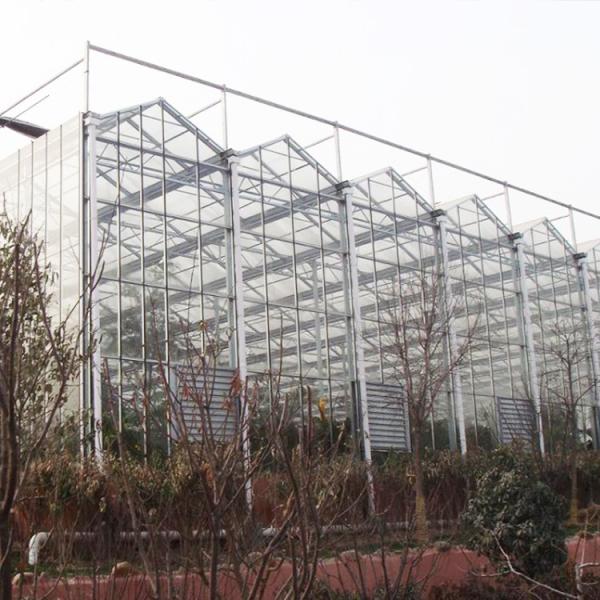 Quality Hydroponic Growing System Agricultural Solar Glass Greenhouse For Vegetables for sale