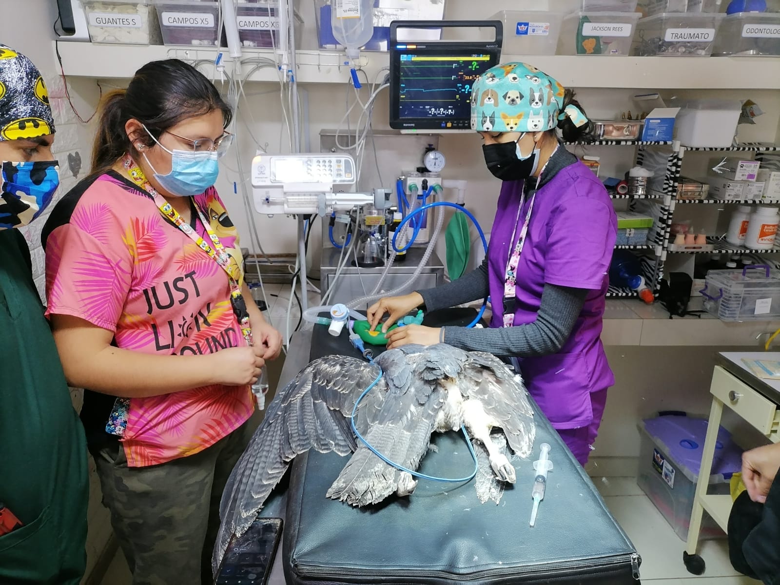 Anesthesia Machine Medical Equipment Icu Surgical Anesthesia Machine With Good Discount