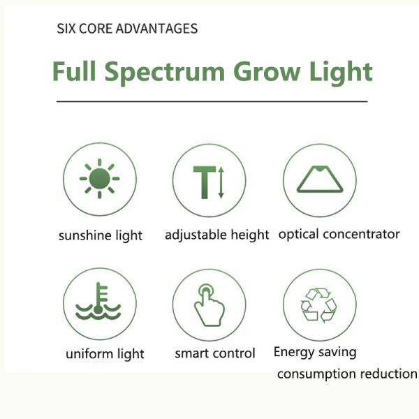 Quality 9W Height Adjustable LED Growth Lamp 4000k For Indoor Desk plant for sale