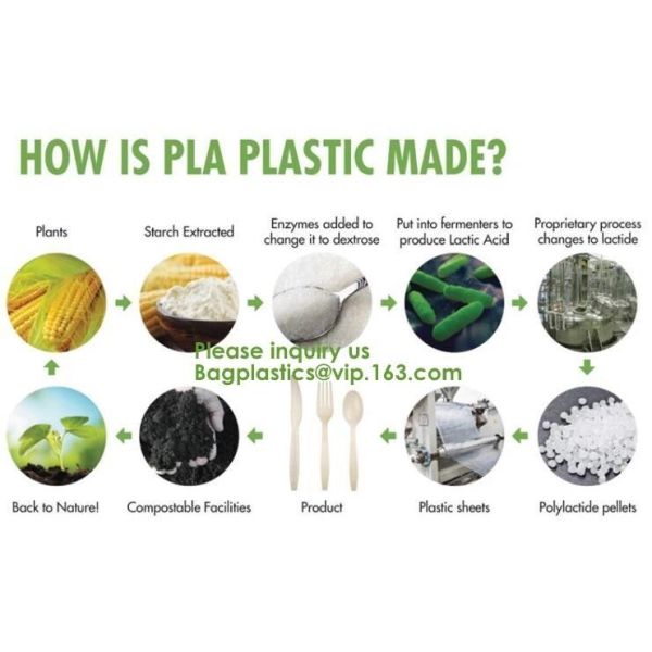 Quality 100% compostable apron, blend with PBAT+PLA+CORN STARCH, APRONS,gallon for sale