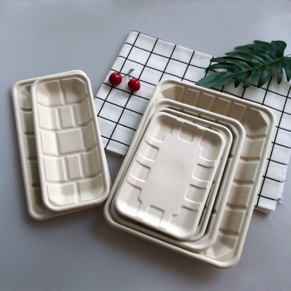 Quality Fruit Sugarcane Bagasse Pulp Weddings Vegetable Disposable Meat Microwave Safe for sale