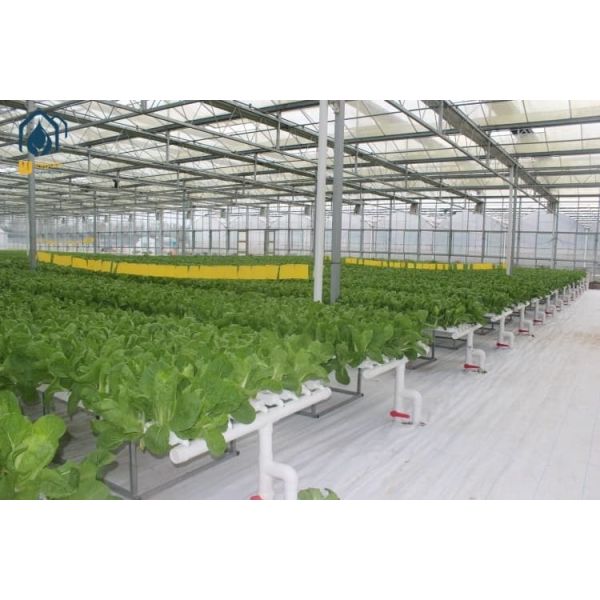 Quality 100*50mm Hydroponic Growing System Indoor NFT Hydroponic Channel Customized For for sale