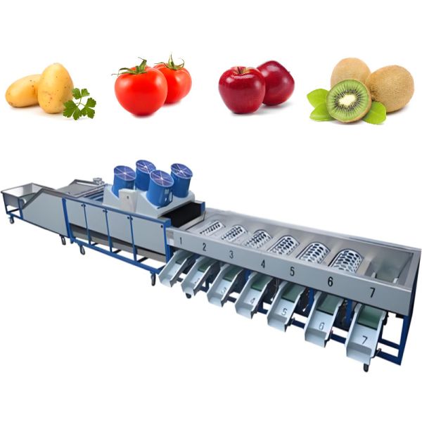 Quality Automatic Production Fruit And Vegetable Washer Machine Convenient Operation for sale