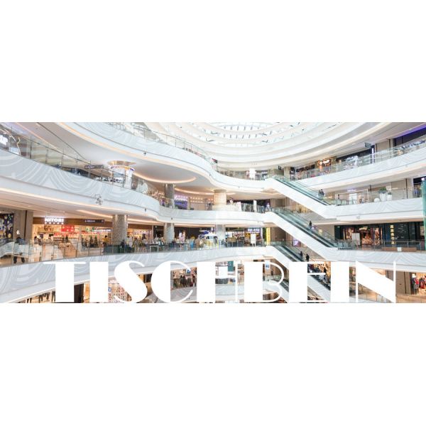 Quality 600mm 800mm 1000mm 35° Inclination Shopping Mall Escalator Stainless Steel Step With Full Set Of Safety Devices for sale