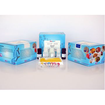 Quality High Reproducibility Vitamin B5 (Pantothenic Acid) Test Kit 96 Test for sale