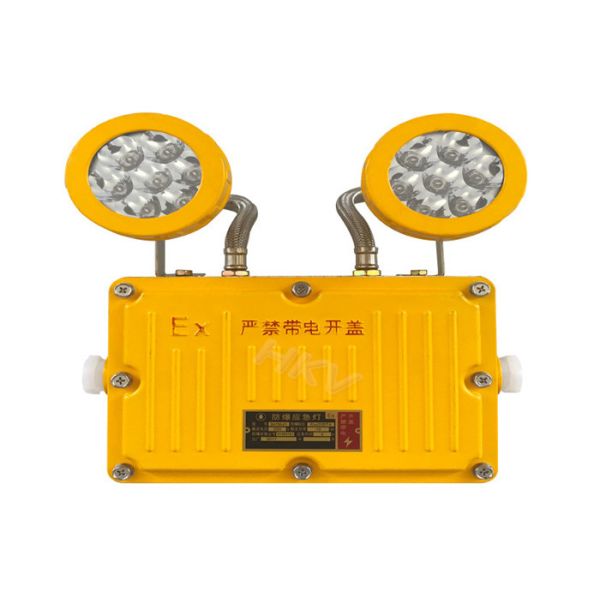 Quality Rechargeable Explosion Proof Emergency Light With Double Emergency Light for sale