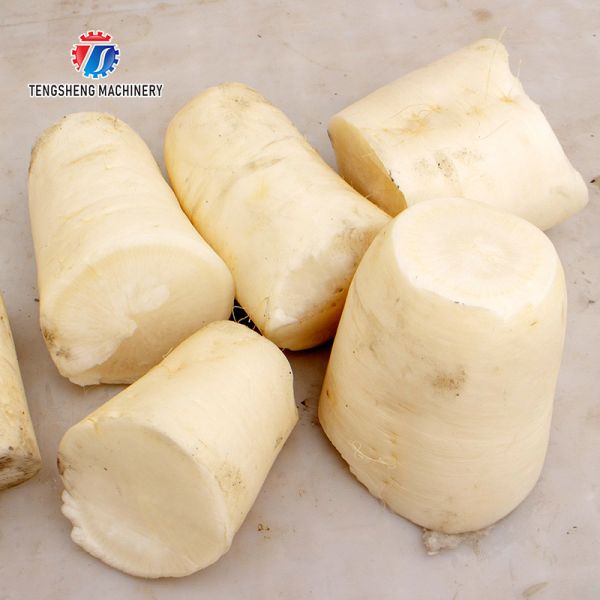 Quality 380V 150KG Luffa pumpkin asparagus cucumber lettuce bitter melon slicing machine for sale