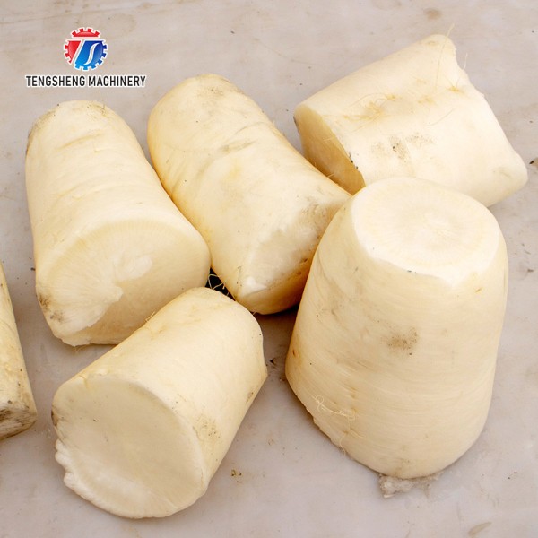 Quality Automatic Vegetable Radish Corn Taro Cutting Half Machine for sale