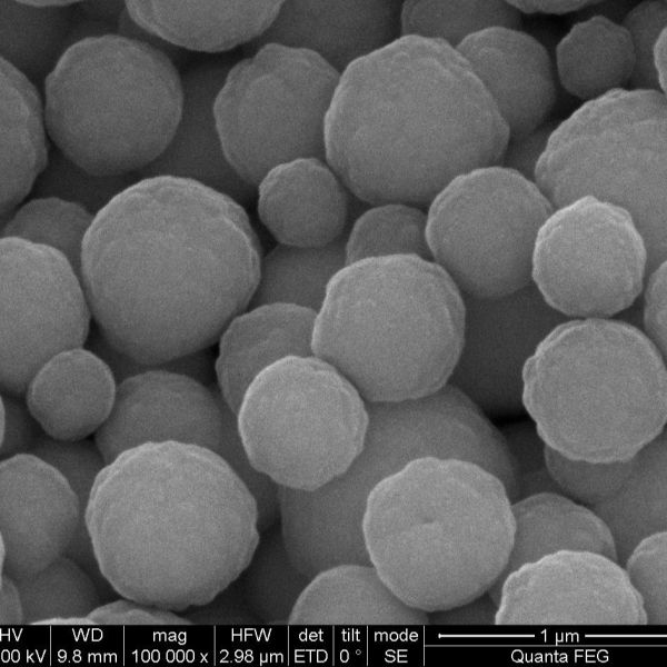 Quality 1μm Streptavidin Magnetic Beads For Cell Sorting Probe Capture 10 mg / mL 1 mL for sale
