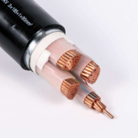Quality PVC Jacket Armoured Electrical Cable Steel Wire 90 Degree N2XY XLPE Insulation for sale