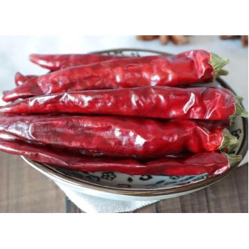 Quality Stemless Dried Guajillo Chile Peppers Heb Block Shape Without Stem for sale