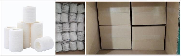 PBT Self Adhesive Bandage