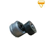 China 9062003770 ,9062005970 Mercedes Atego Belt Tensioner factory