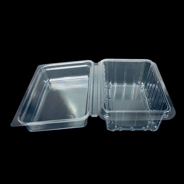 Quality ISO9001 Customized PET Food Grade Plastic Container Blister Clamshell Packaging for sale