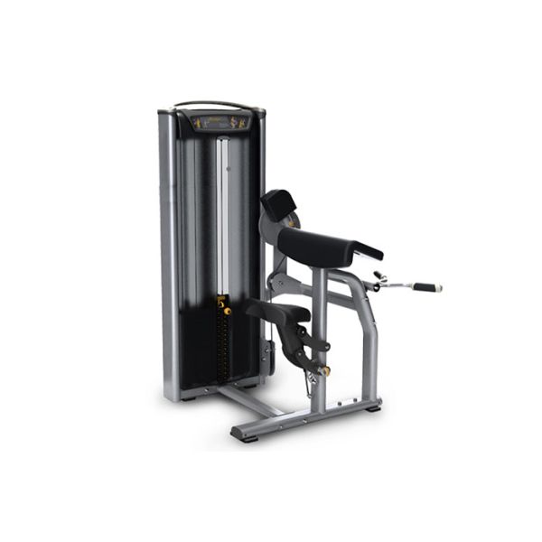 Quality Professional Matrix Strength Training Equipment Gym Biceps Curl Machine for sale